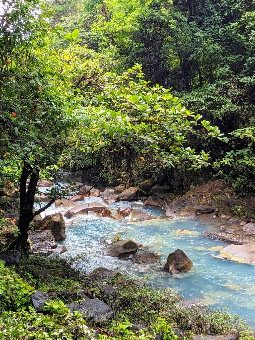 Expedition to Sloth Preserve & Rio Celeste Waterfall - Link Expeditions